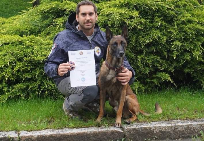 Hungarian dog became one of the best rescue dogs in the world - Daily ...