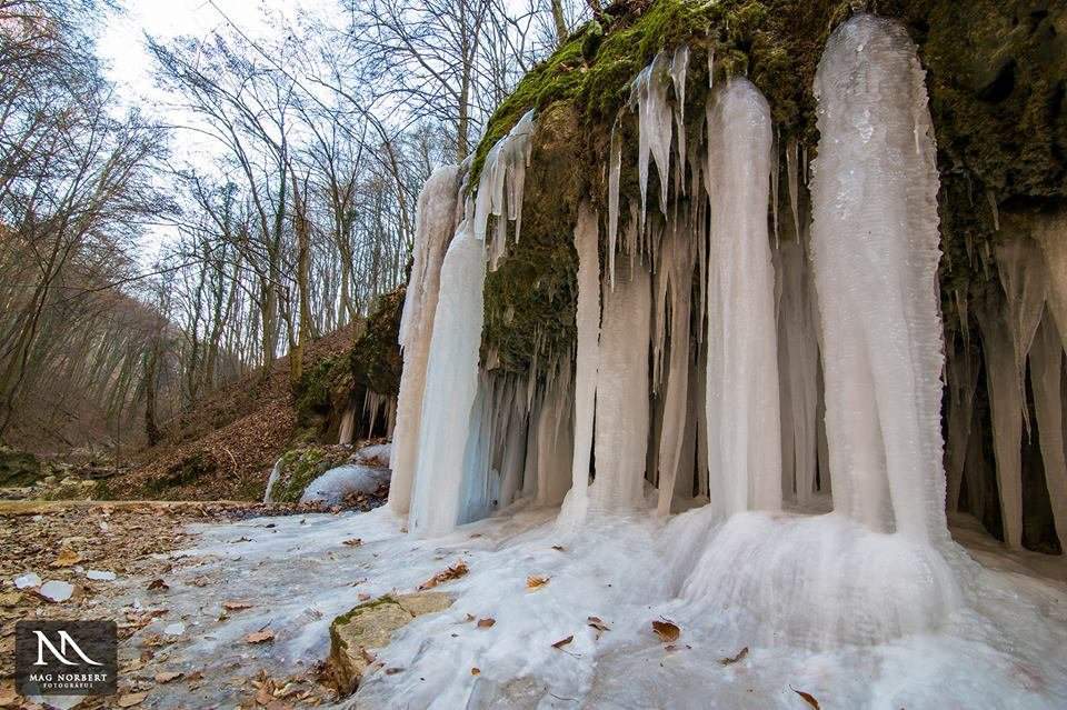 La asombrosa naturaleza congelada de Óbánya - Galería de fotos - Daily ...