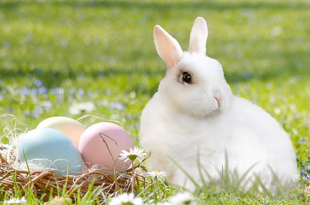 Easter in Hungary - the origins of a holiday - Daily News Hungary
