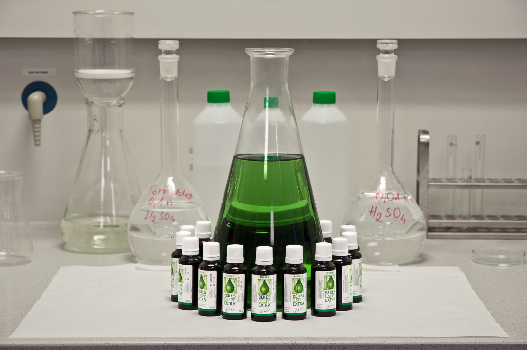 The most common Hungarian names and their relationship with history ...