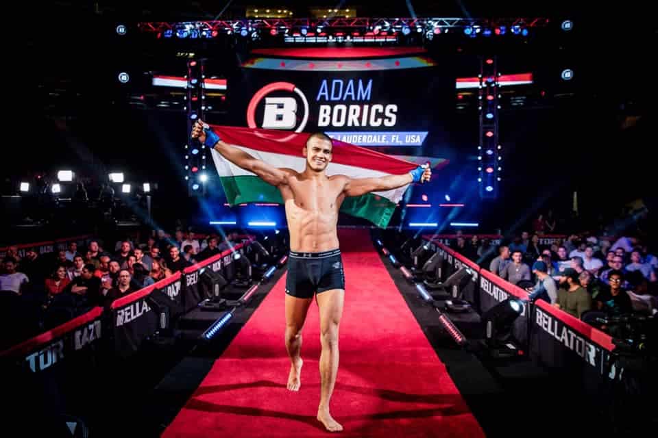 Hungarian MMA player beats American champion for the first time - VIDEO ...