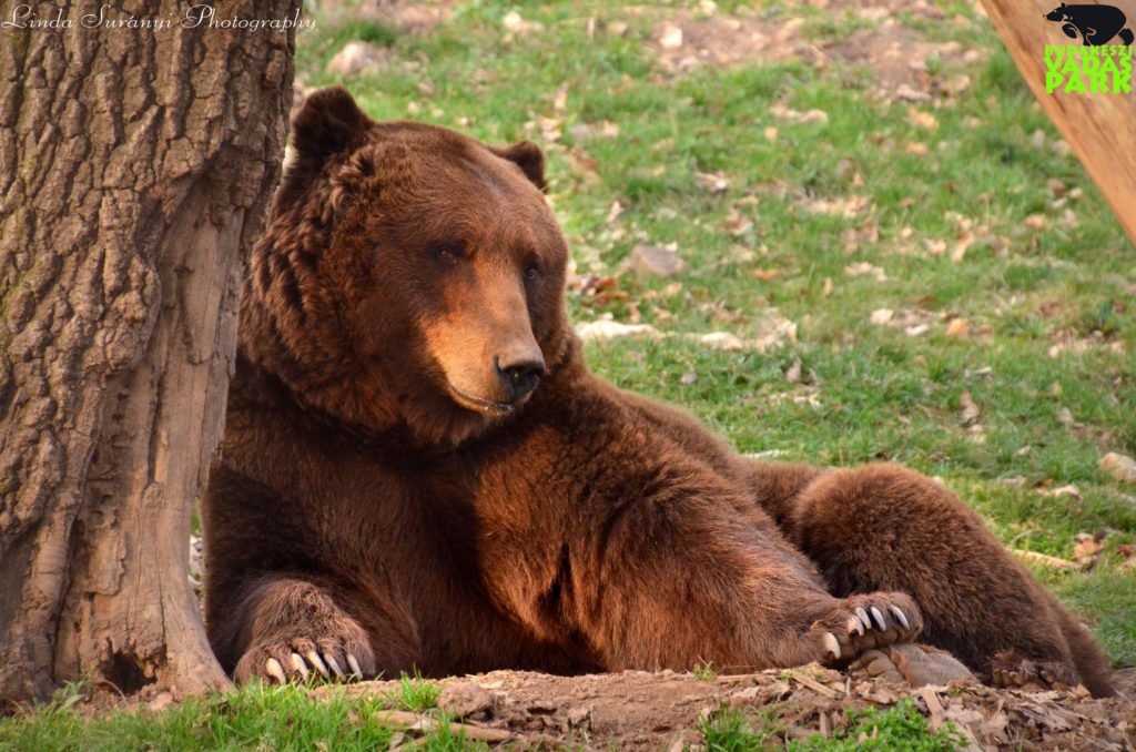 The top 10 best things to do in Budapest during autumn - Daily News Hungary