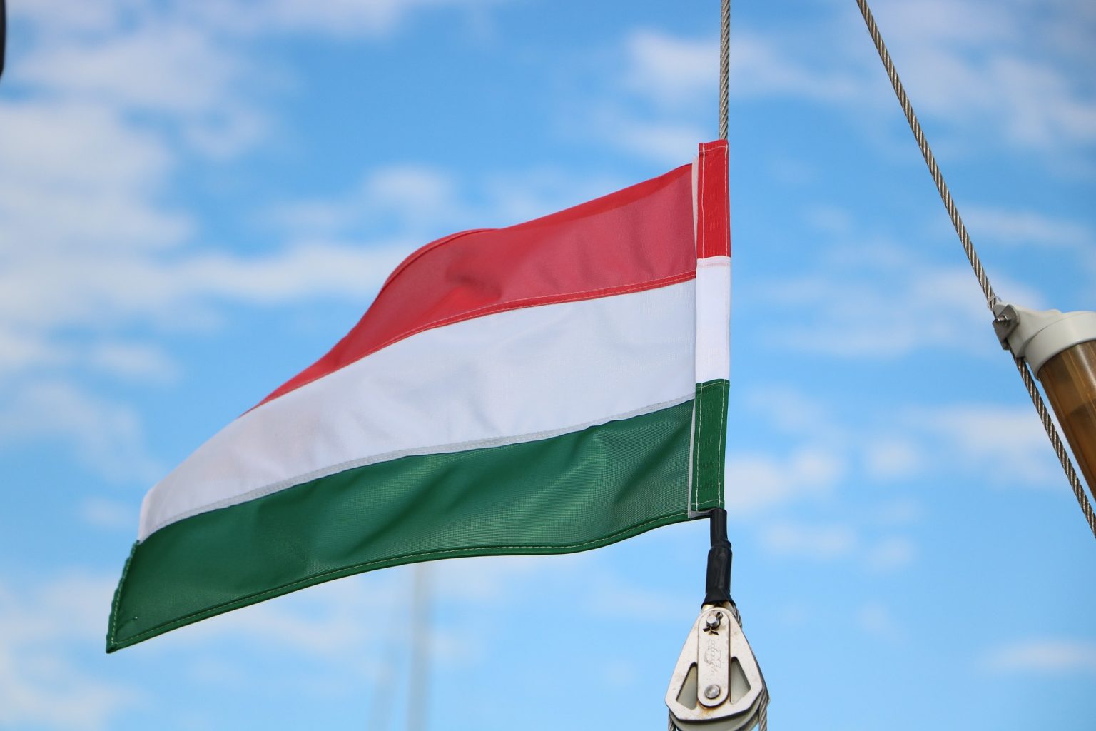 Spice up your language with some Hungarian sayings! – vol. 2 - Daily ...
