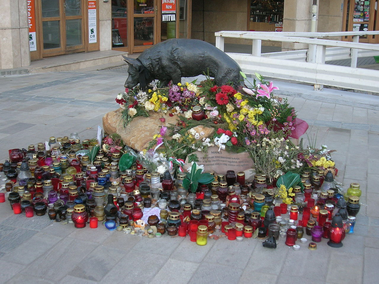 The most famous Hungarian animals to be proud of - PHOTOS - Daily News ...