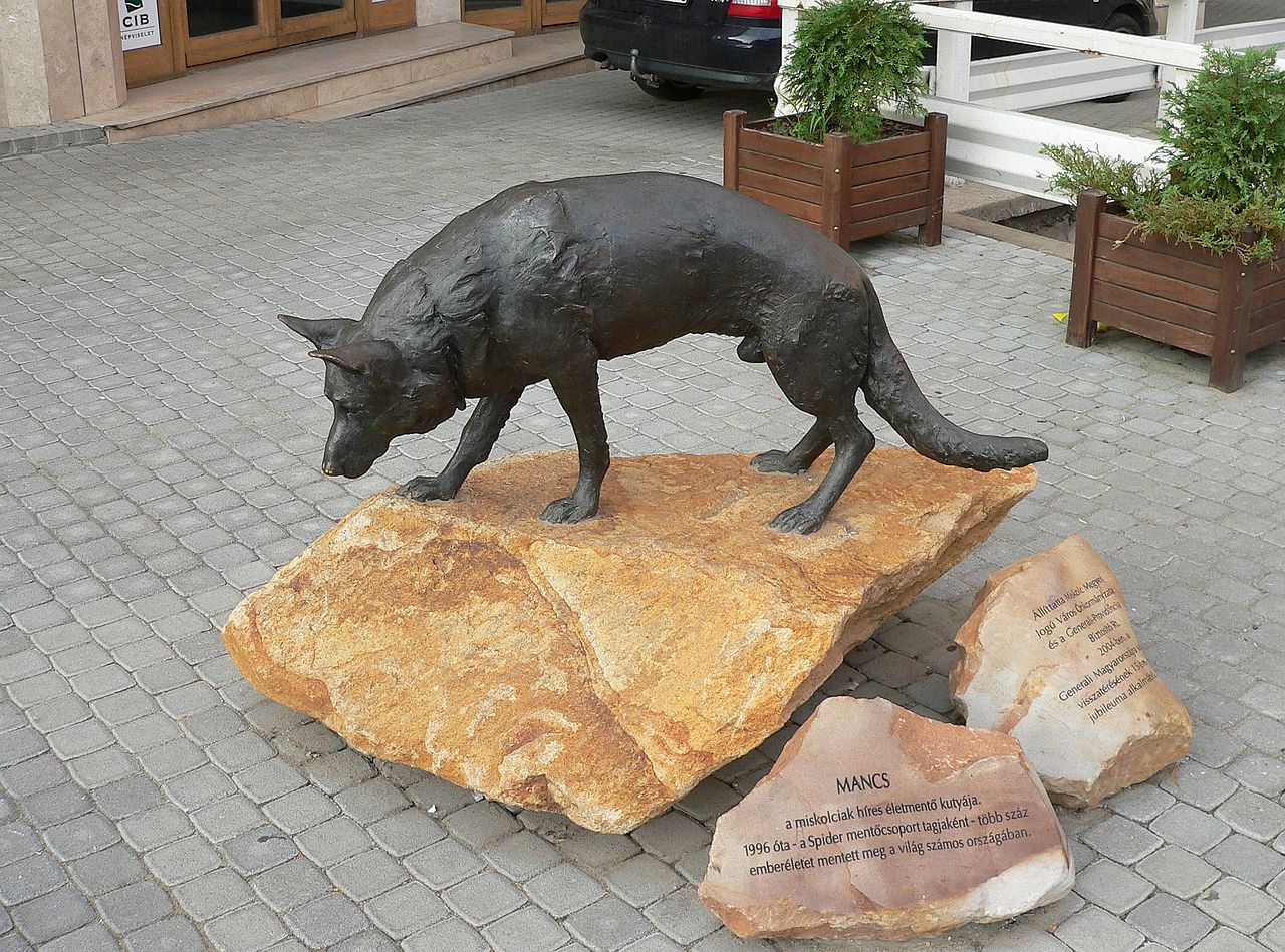 The most famous Hungarian animals to be proud of - PHOTOS - Daily News ...