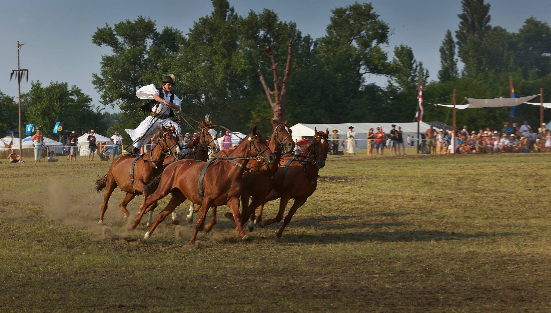 Why is it worth visiting Bugac puszta in Hungary? - photos, videos ...