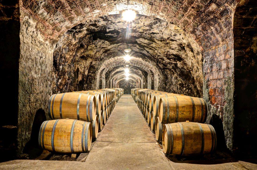 "The King of wines, the wine of Kings" - History of the Tokaj region