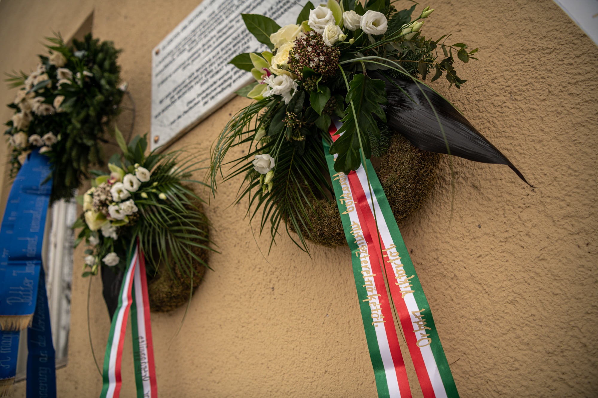 Memorial day of ethnic Germans deported from Hungary marked online ...