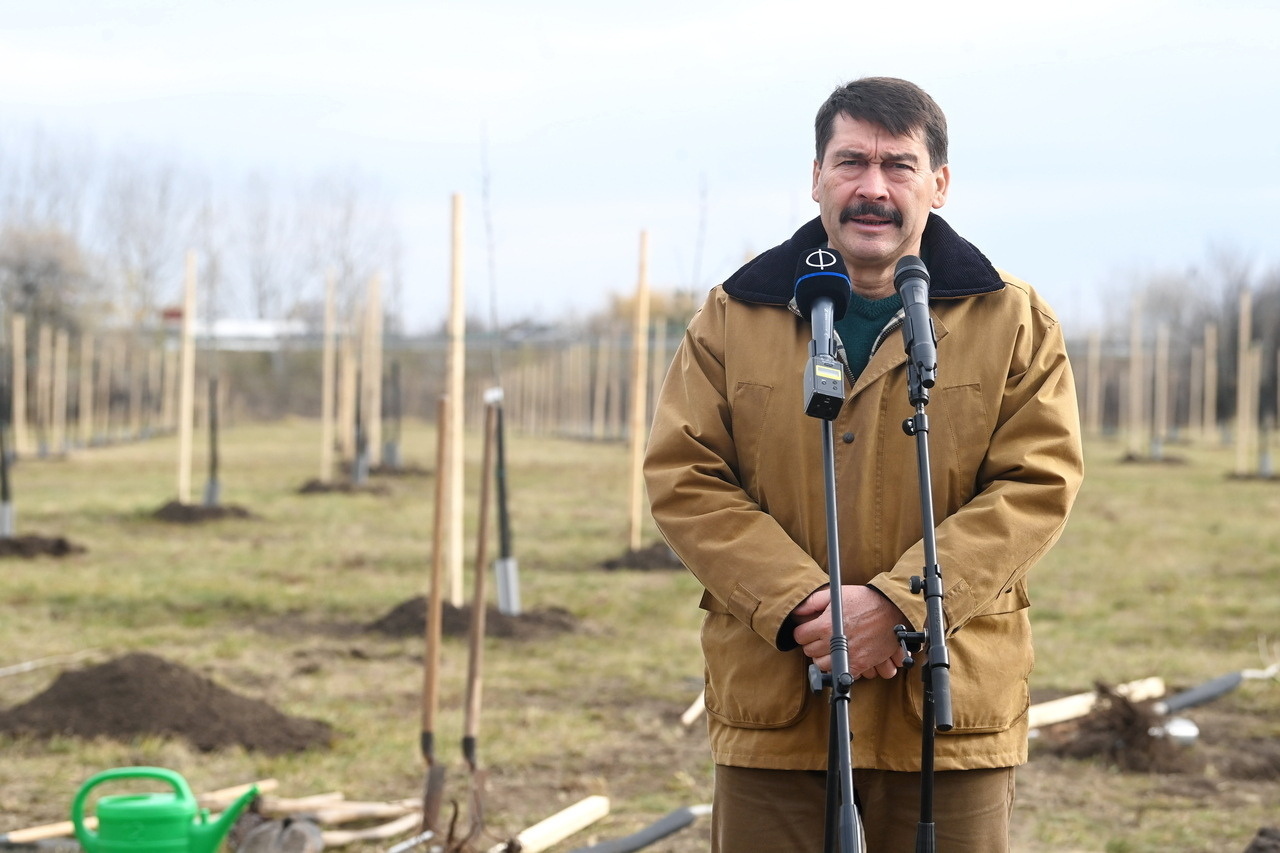 President helps plant 700 trees along motorway in Hungary ...
