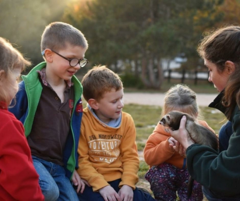 10 fun summer programmes for kids in Budapest - Daily News Hungary