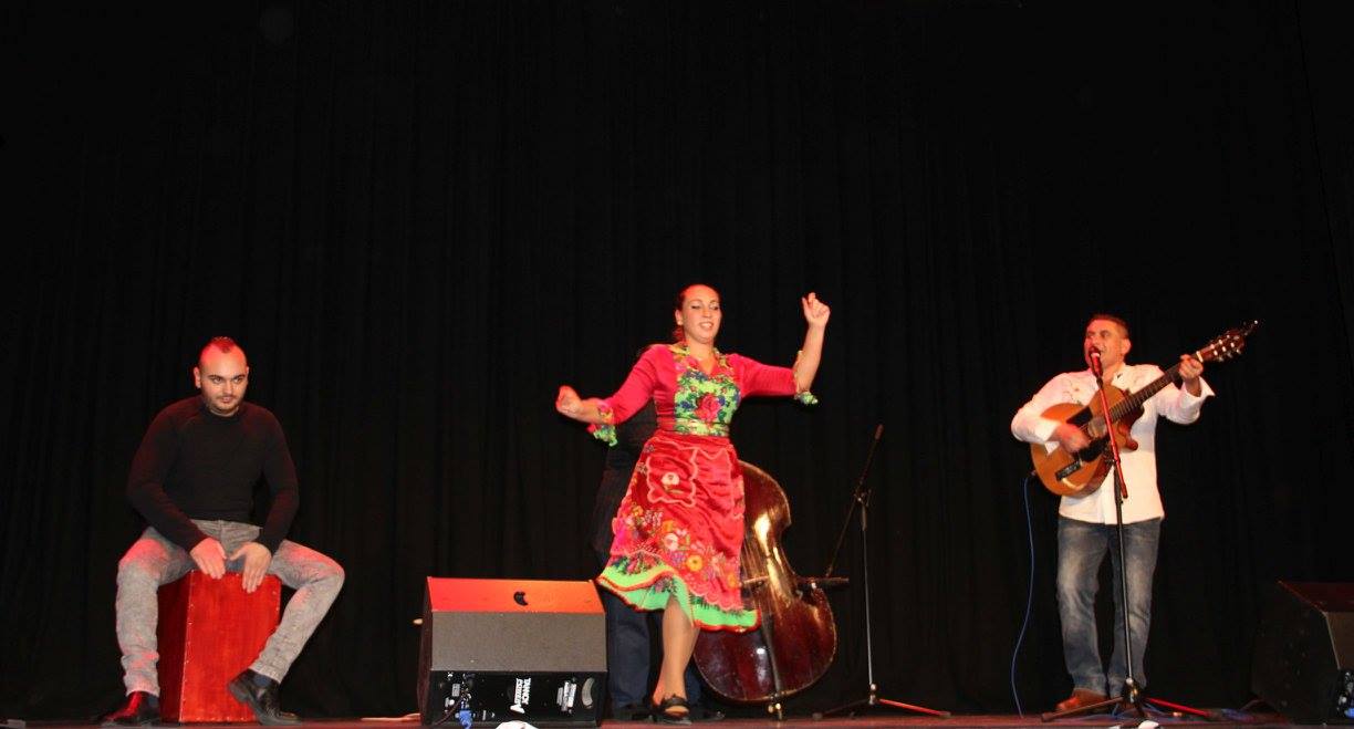 The proportion of gypsy society in Hungary is increasing - DailyNewsHungary