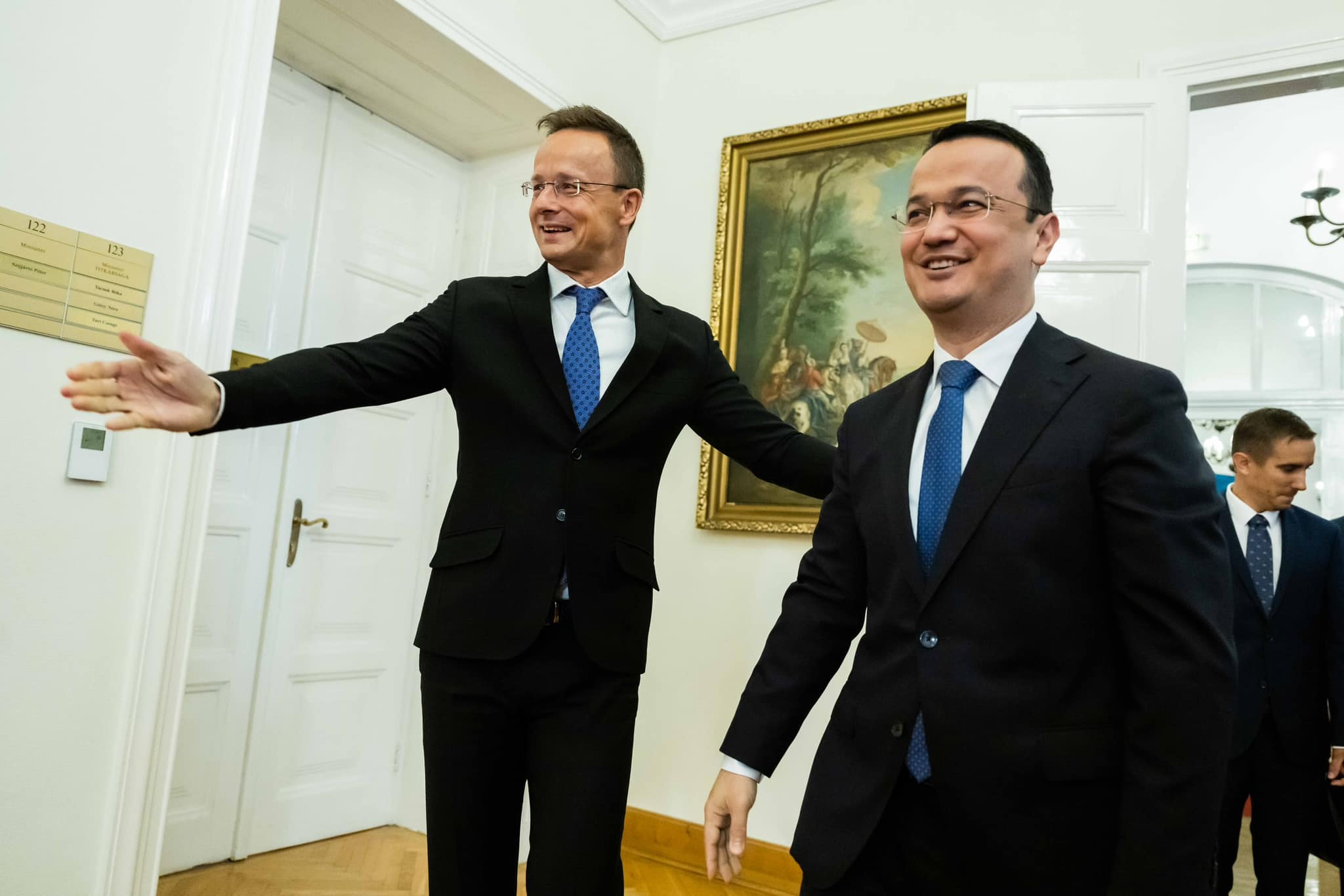 Hungarian FM: Chinese battery maker Sunwoda to build first European ...
