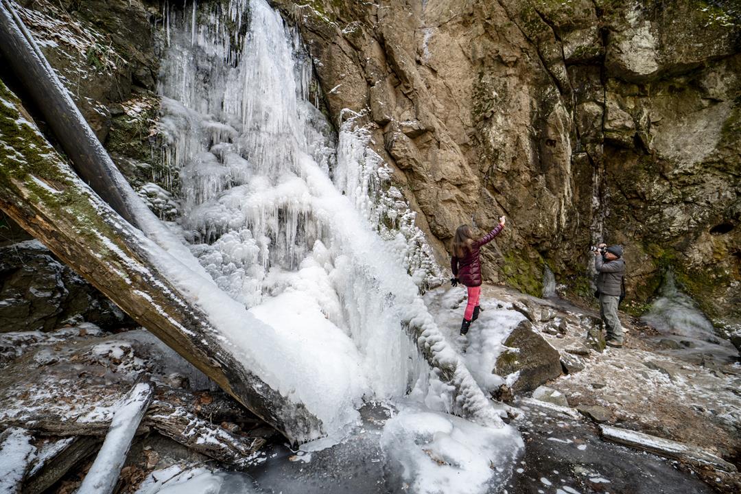 PHOTOS : Il vous reste encore quelques jours pour découvrir cette ...
